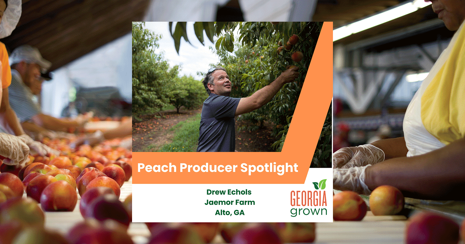 Georgia Peach Producer Spotlight: Drew Echols Jaemor Farms (Hall County ...