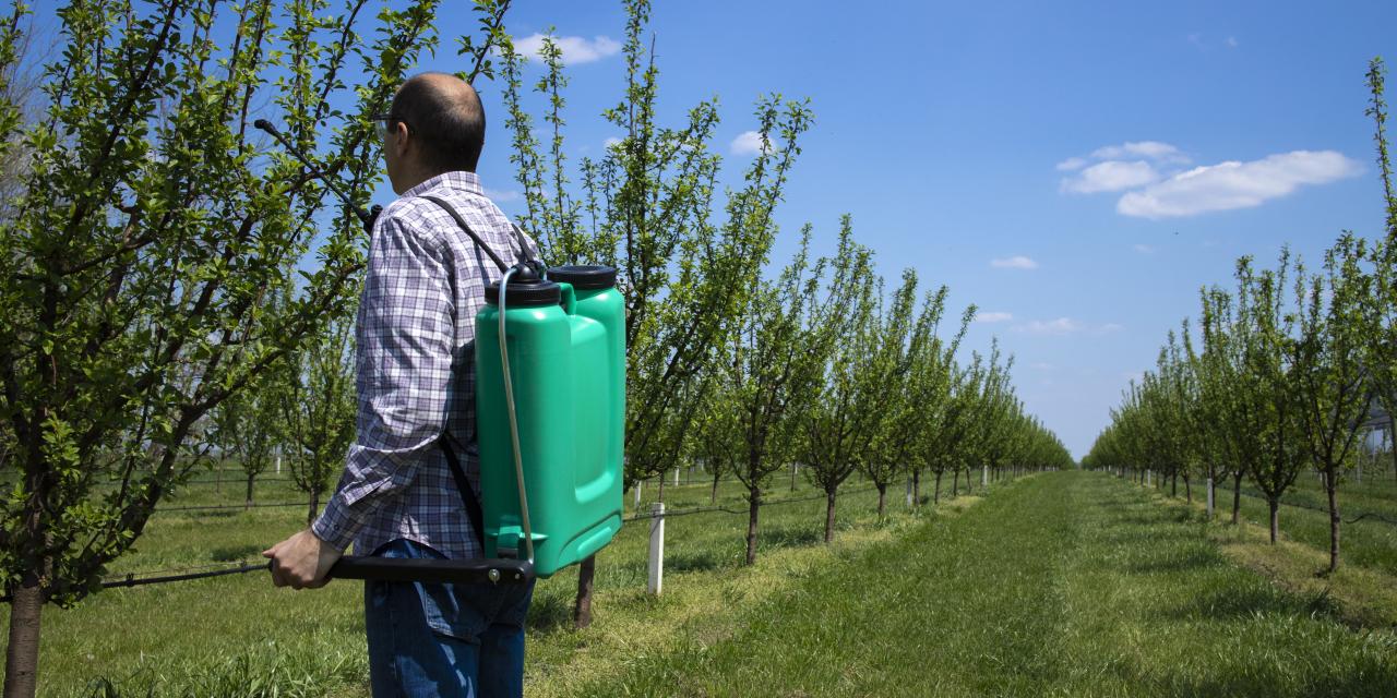 Pest Control Programs | Georgia Department of Agriculture