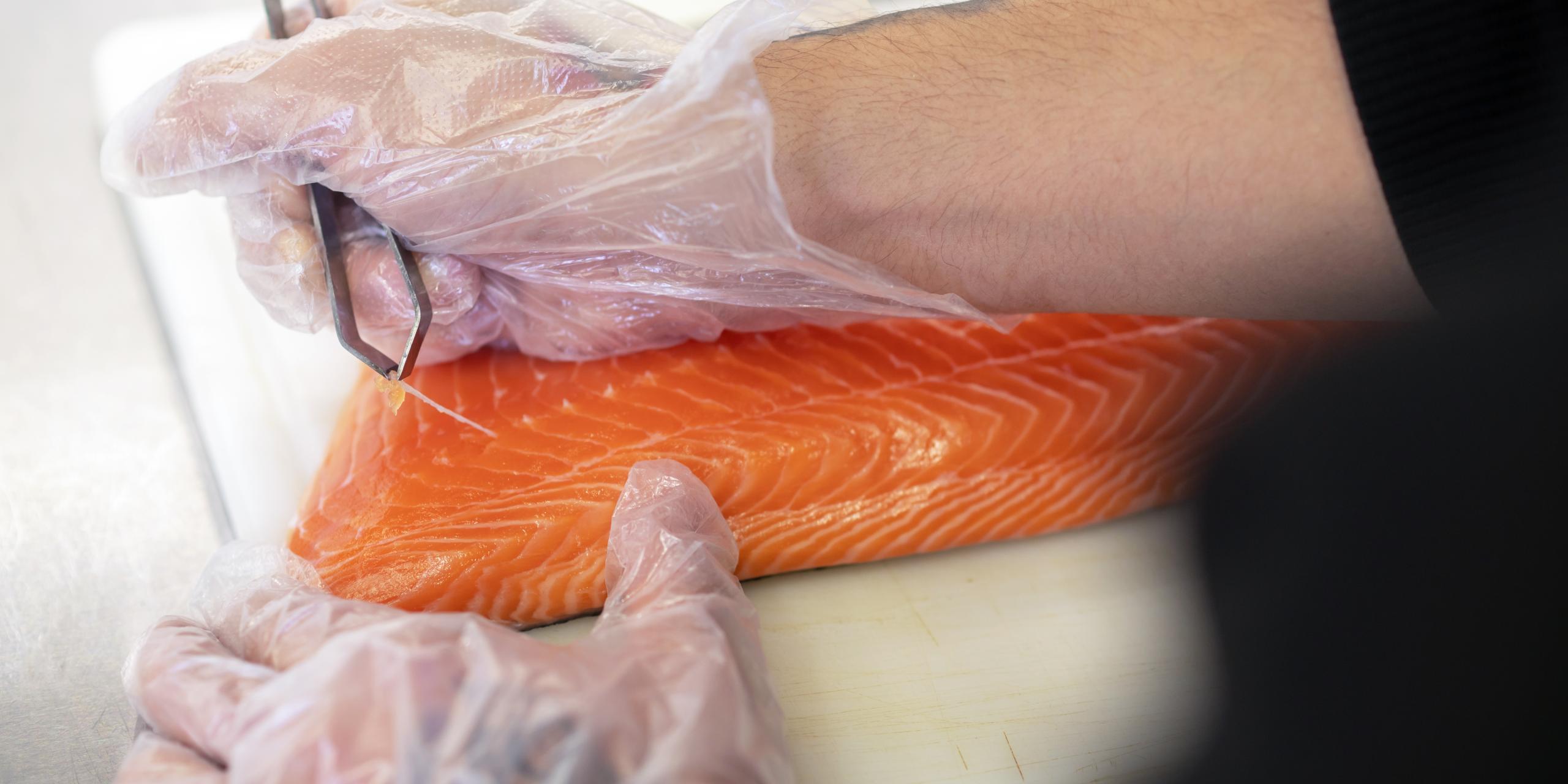 Seafood | Georgia Department of Agriculture