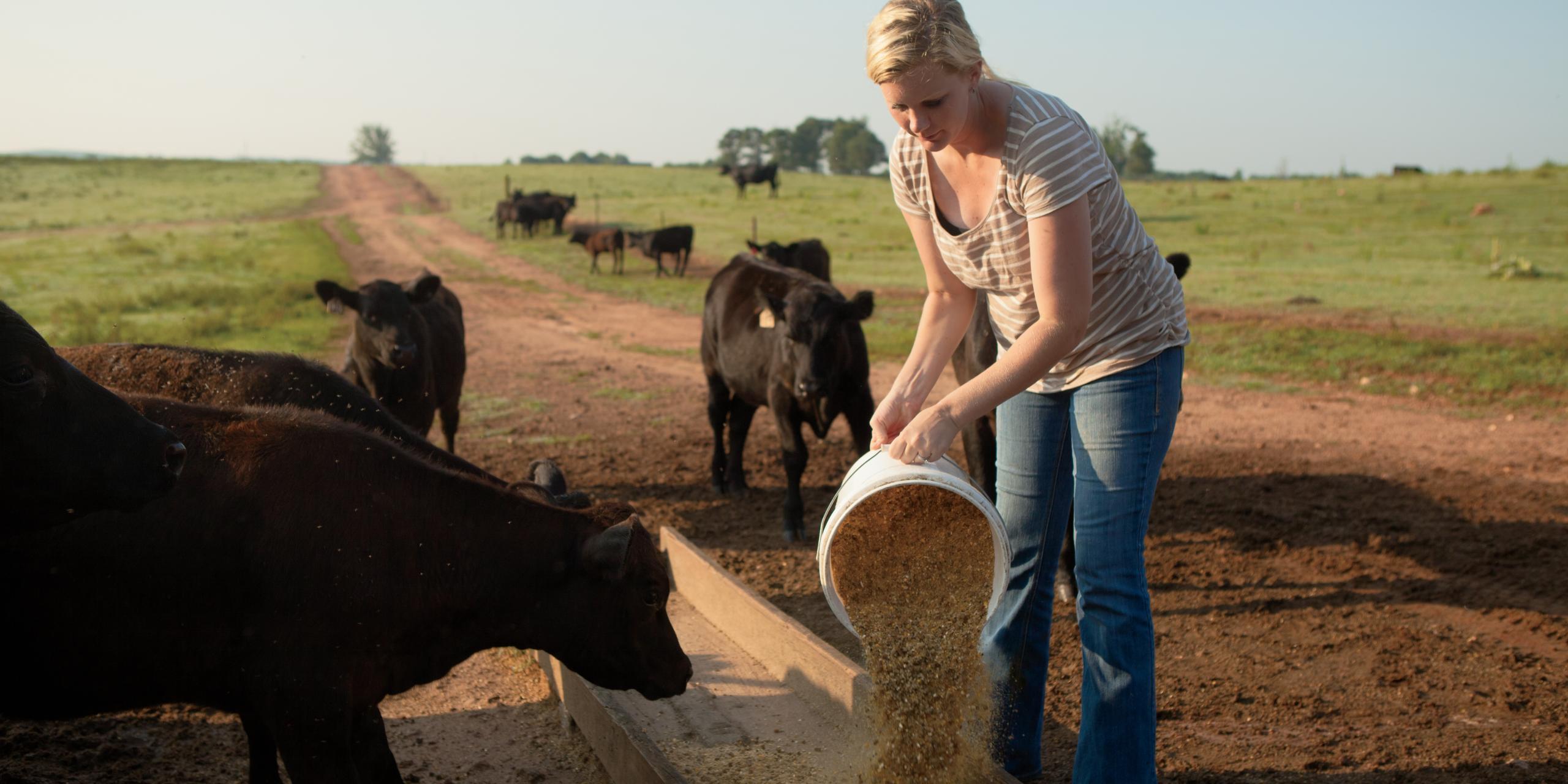 Animal Feed | Georgia Department of Agriculture
