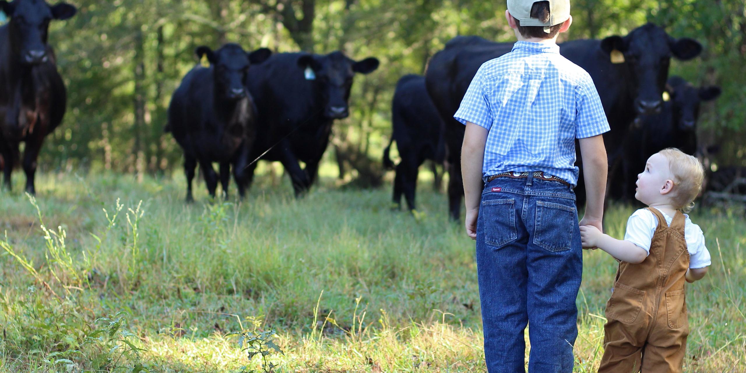 Animals | Georgia Department of Agriculture
