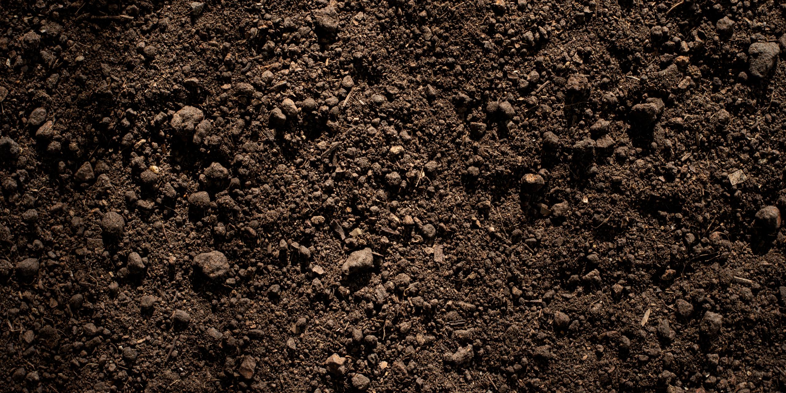 Soil Amendments | Georgia Department of Agriculture