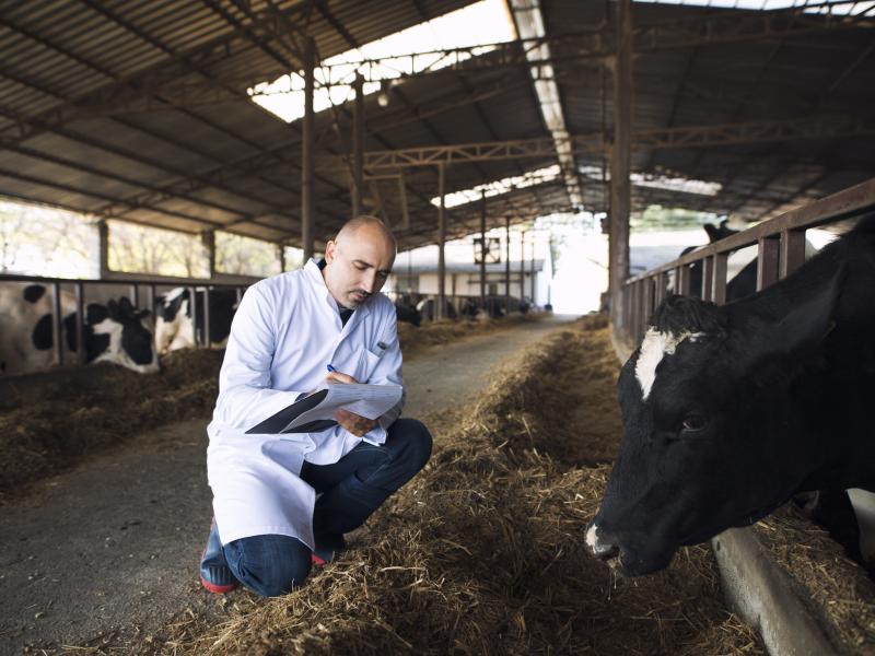 Animal Health - State Veterinarian's Office | Georgia Department of ...