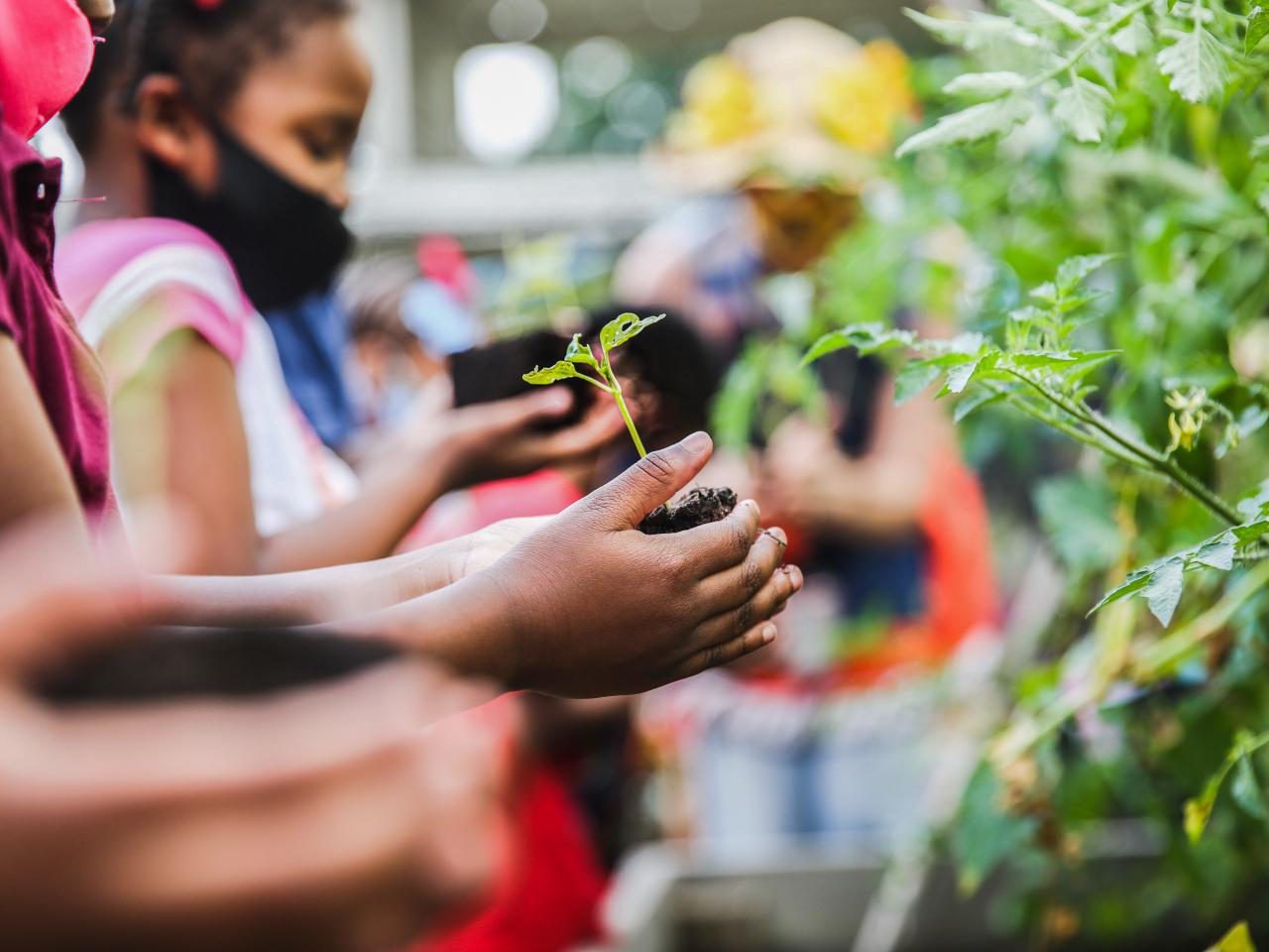 Georgia Agricultural Awareness Week | Georgia Department of Agriculture
