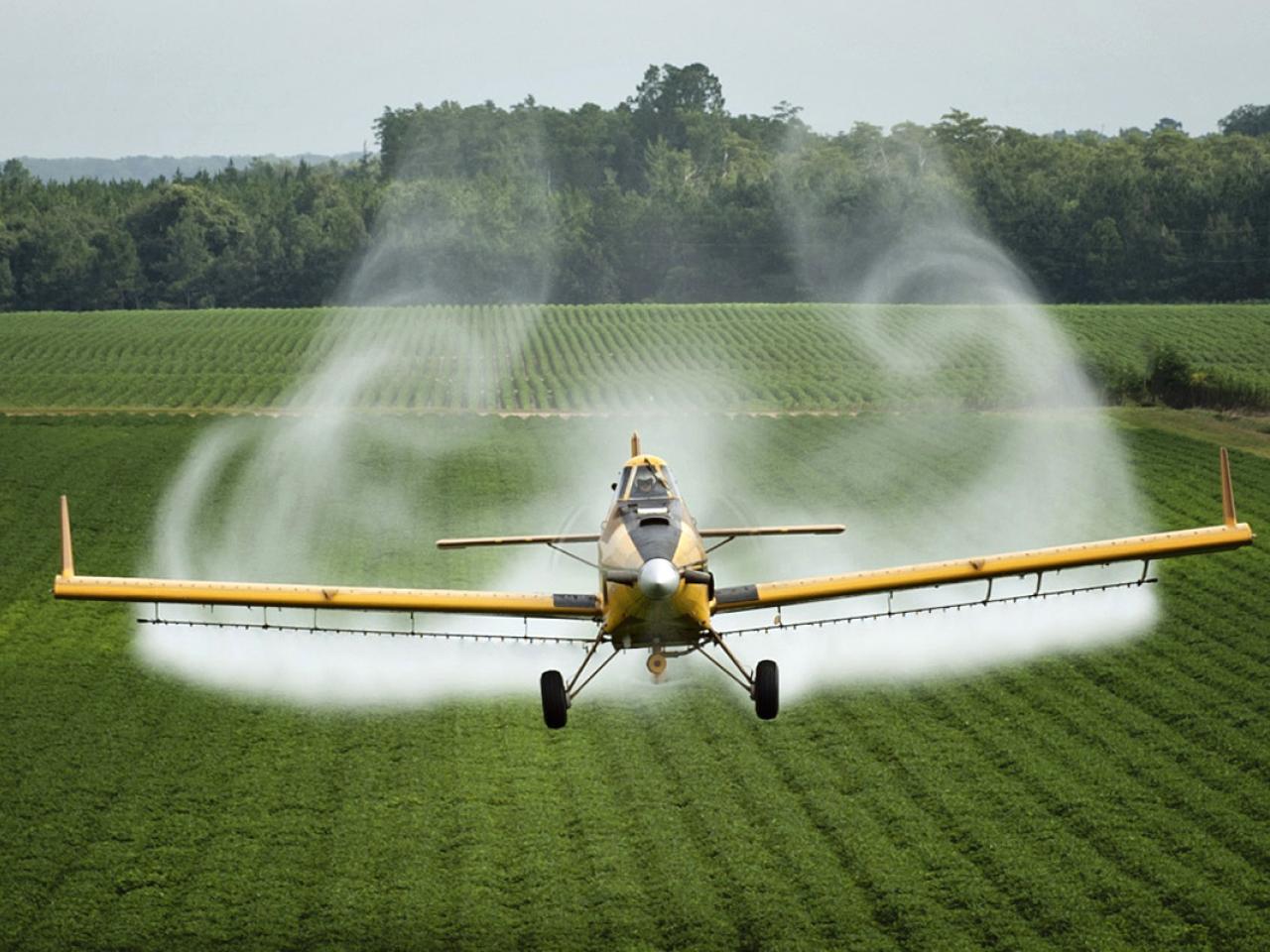 Pest Control Programs | Georgia Department of Agriculture