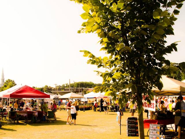 Agritourism | Georgia Department of Agriculture