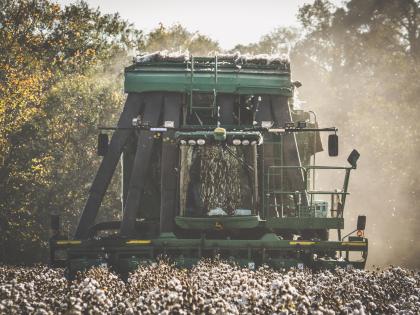 Ag Programs | Georgia Department of Agriculture